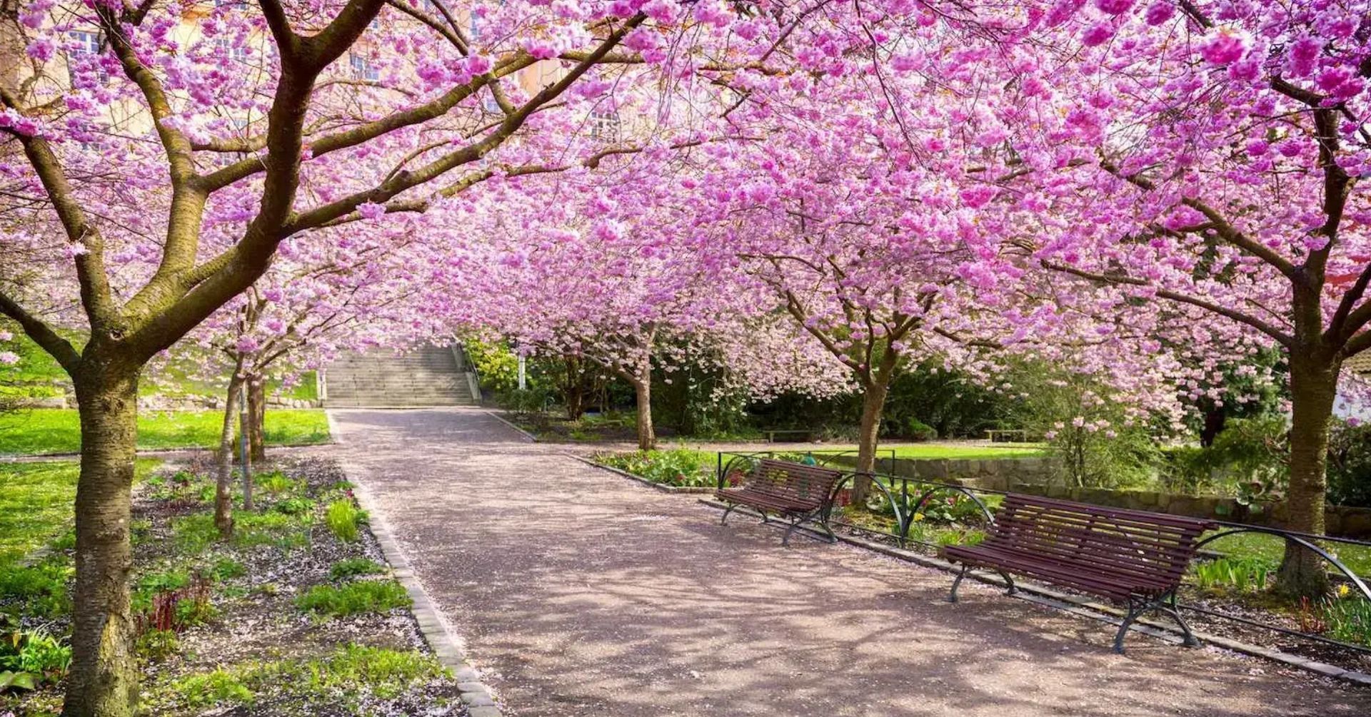 Four Seasons Landscape And Garden Center